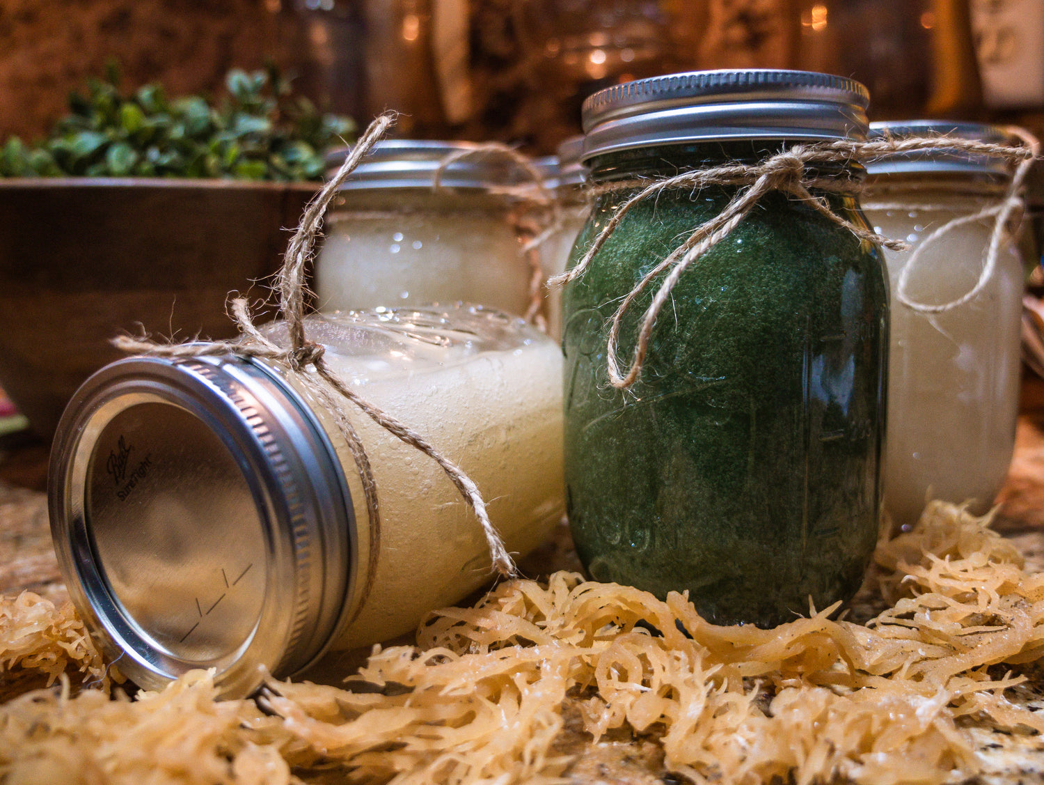 Pure La Vie Herbal – Pure La Vie Herbals